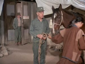 Harry Morgan’s Love for Horses: The True Story Behind Colonel Potter's ...