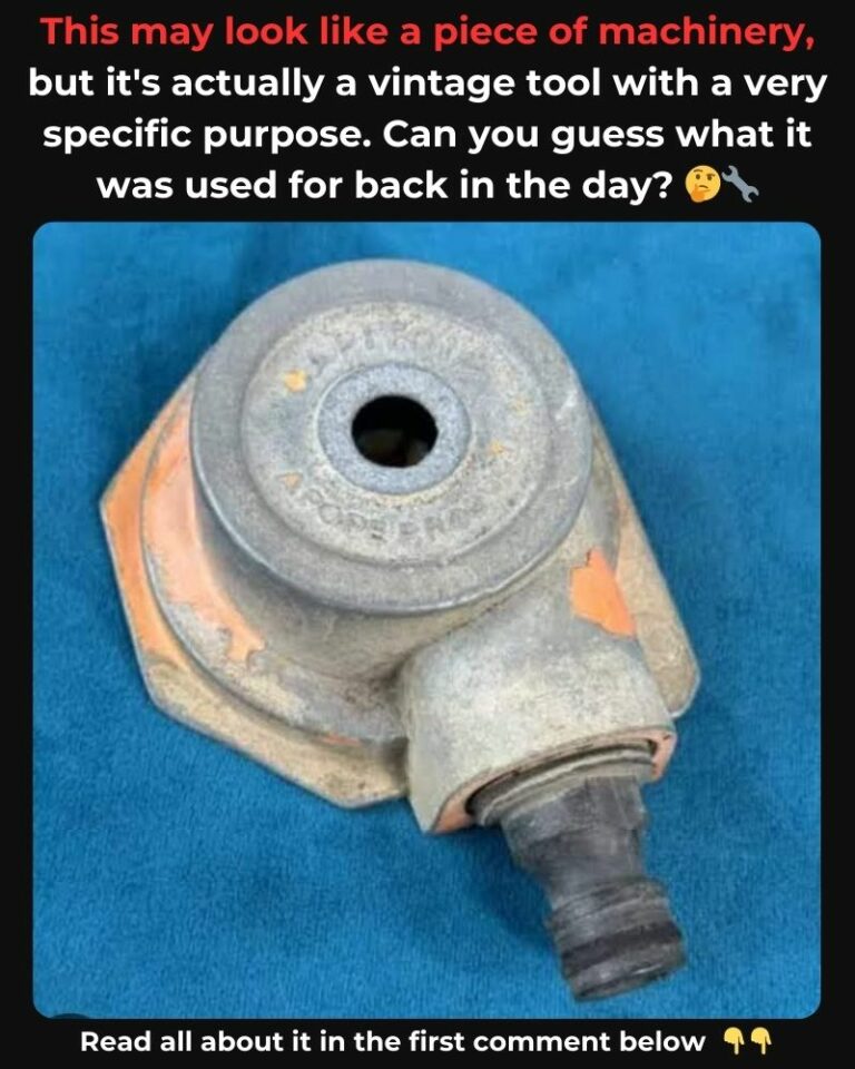 Do You Remember This Classic Object? If You Do, You’ll Love Learning ...