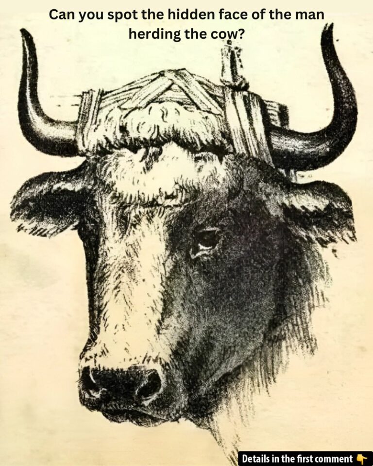 Can You Find the Hidden Face of the Man Herding the Cow? Look Closely ...