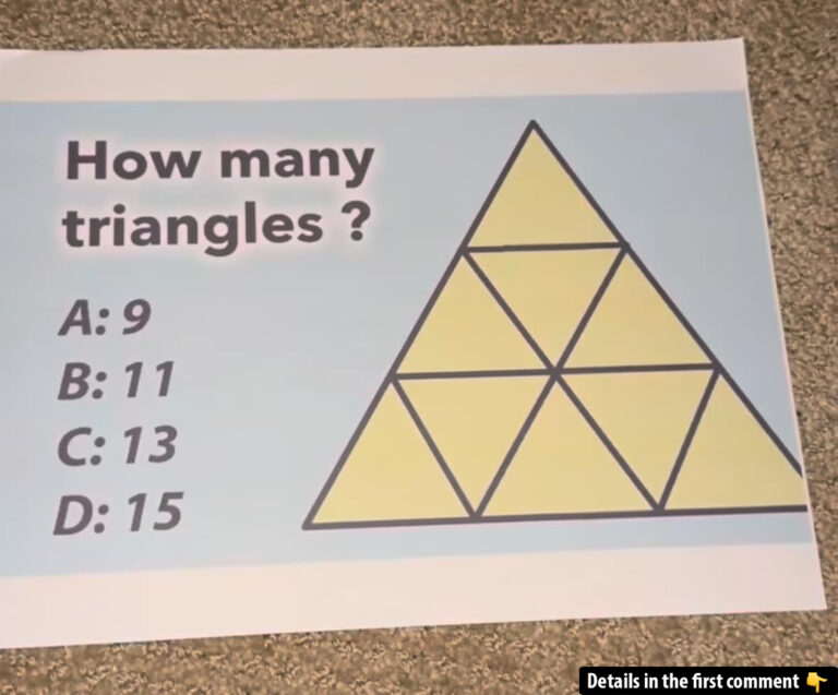 How Many Triangles Are Hidden in This Puzzle? Find Out the Answer and ...