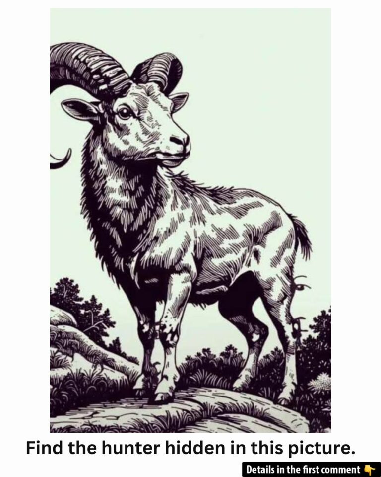 Think You Can Spot the Hidden Hunter? Solve It Now and Learn Why!