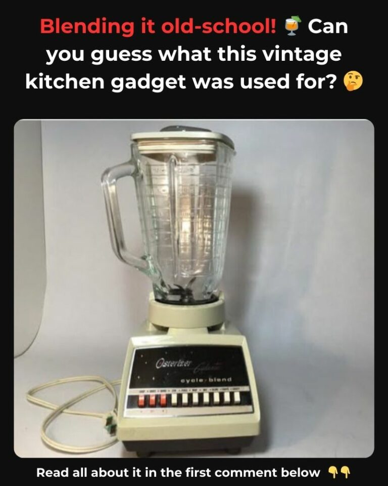 Do You Remember This Iconic Kitchen Device? If You’ve Lived Through ...