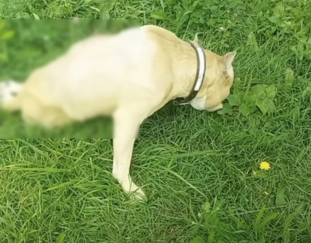 He Was Left on the Road—But Learned How to Move Forward Again